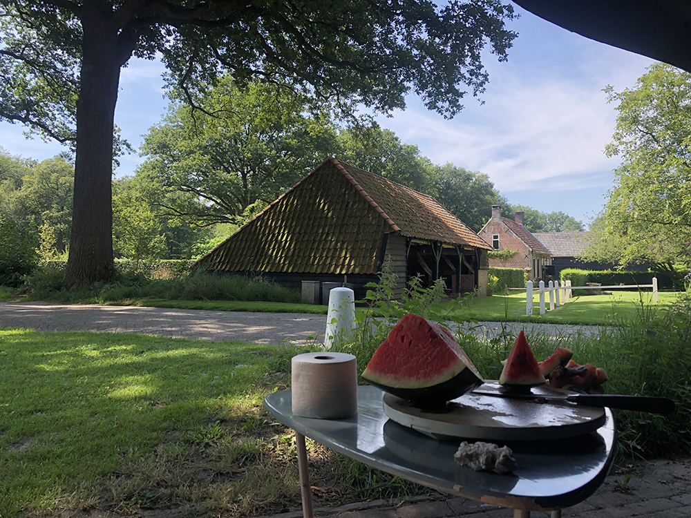 From Barn to Stable, Angus - Witte Rook