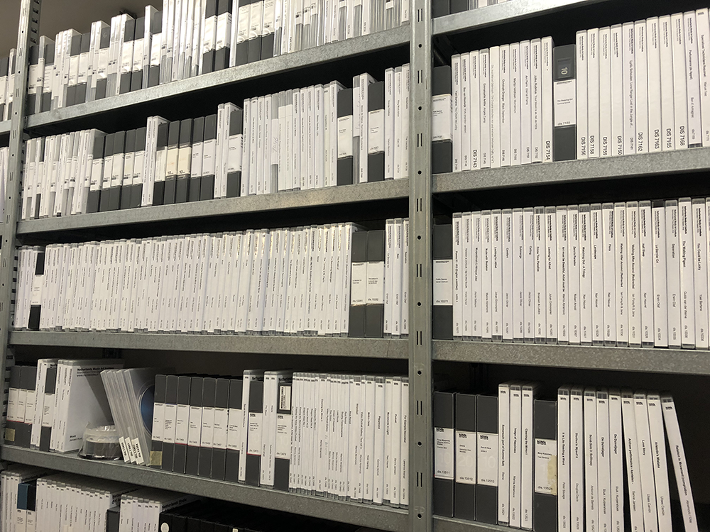 Fly on the Wall - Witte Rook